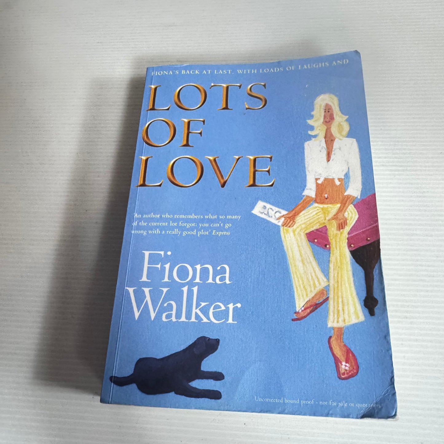 Lots of Love - Fiona Walker – Second Chance Books