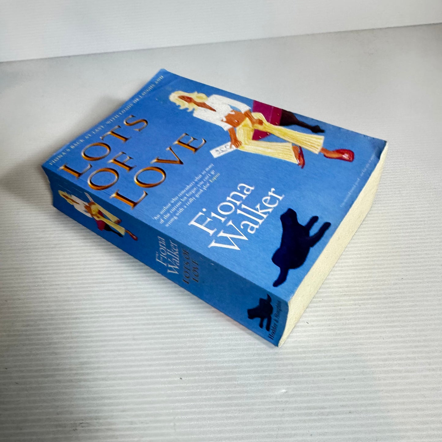 Lots of Love - Fiona Walker – Second Chance Books