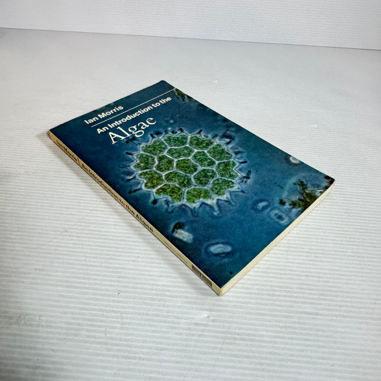 An Introduction to the Algae - Ian Morris – Second Chance Books