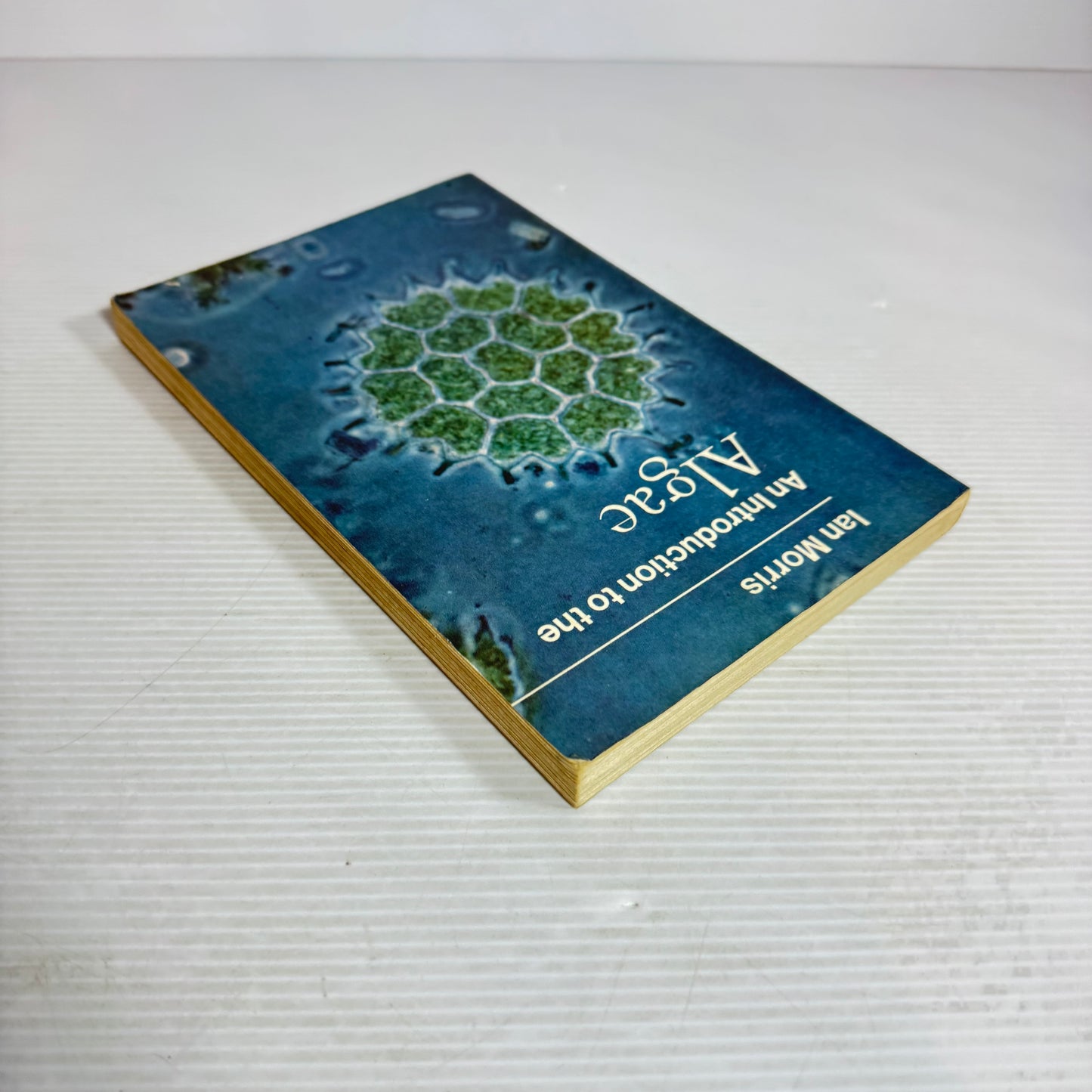 An Introduction to the Algae - Ian Morris – Second Chance Books