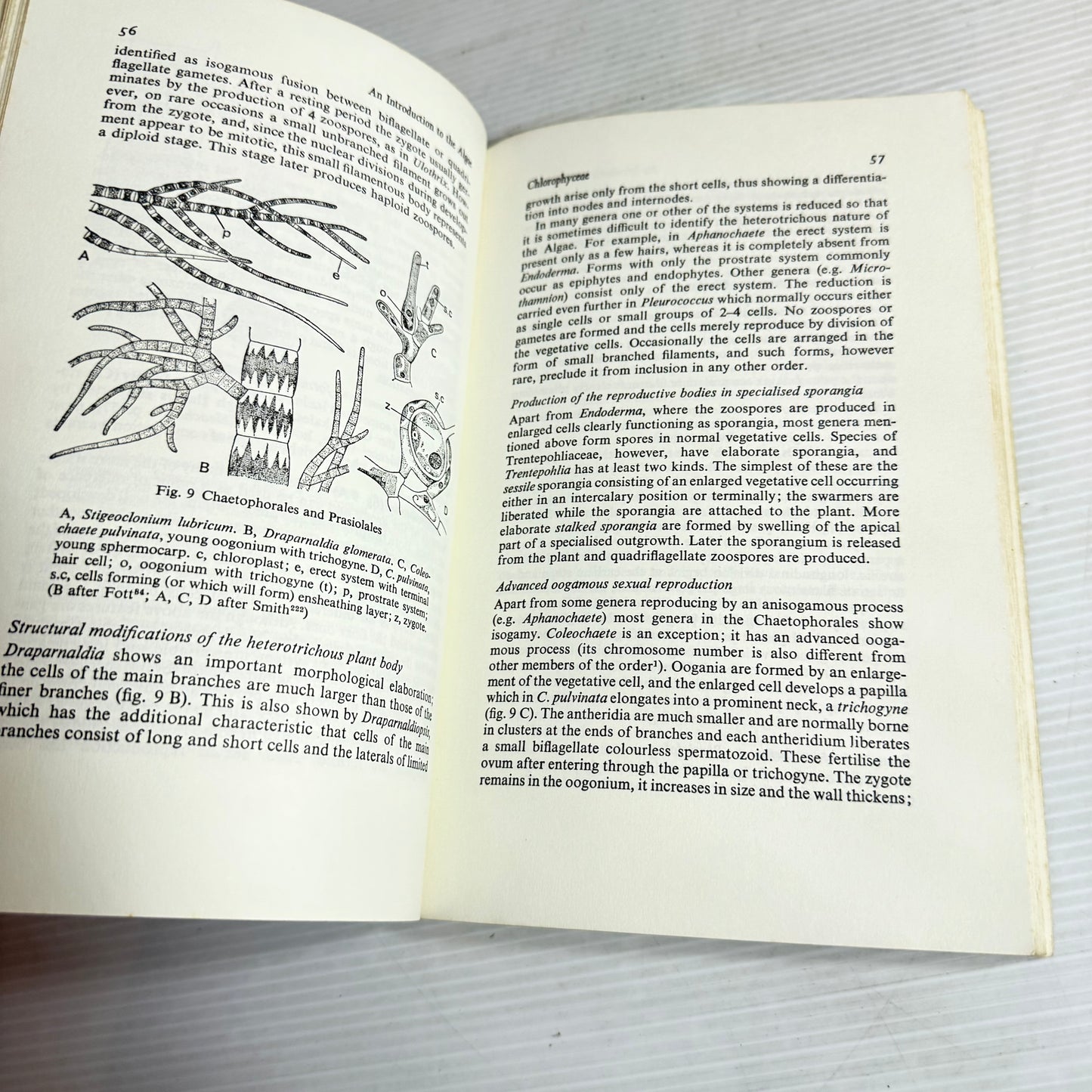 An Introduction to the Algae - Ian Morris – Second Chance Books