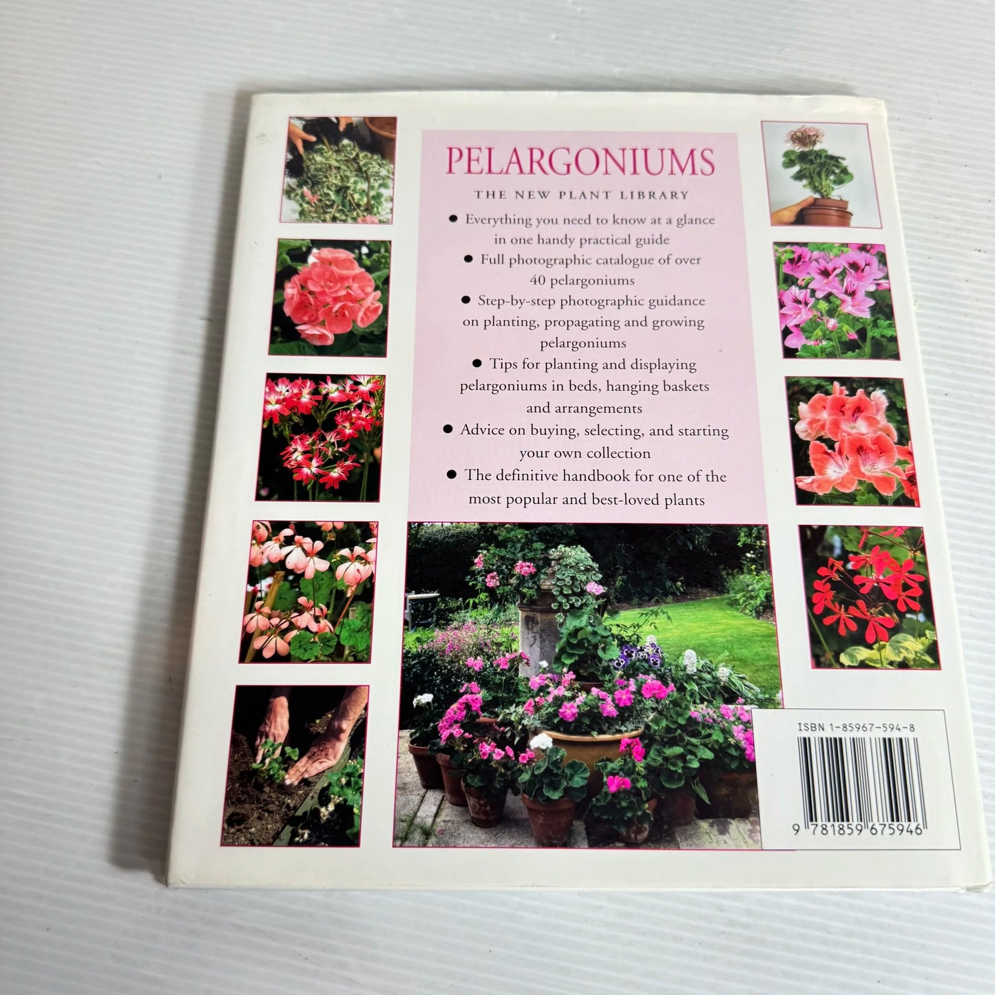 Pelargoniums : The New Plant Library - Blaise Cooke – Second Chance Books
