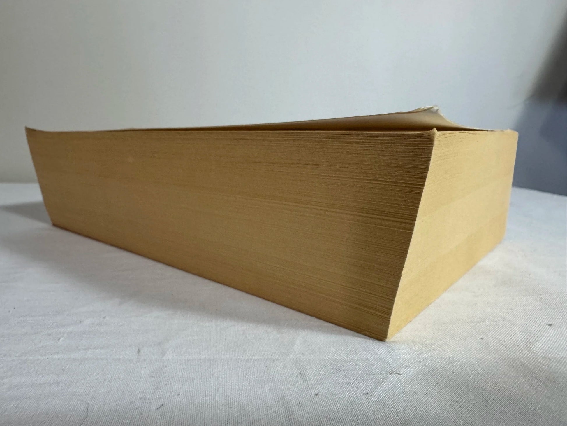 A Song in the Daylight - Paullina Simons – Second Chance Books