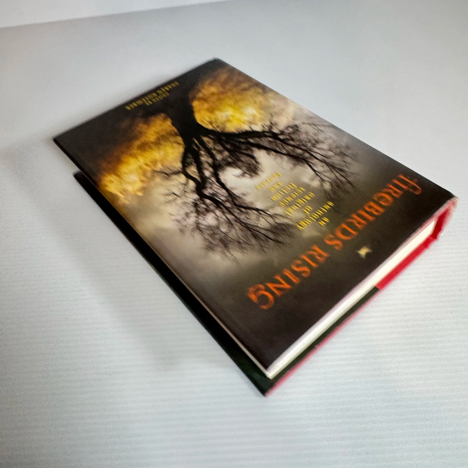 Firebirds Rising : An Anthology of Original Science Fiction and Fantas ...