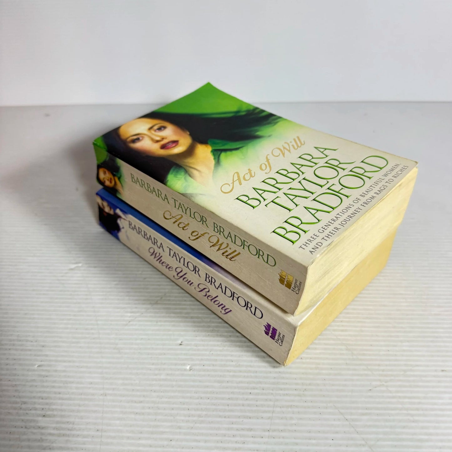 Barbara Taylor Bradford Book Bundle x2 (422) Act of Will & Where You B ...