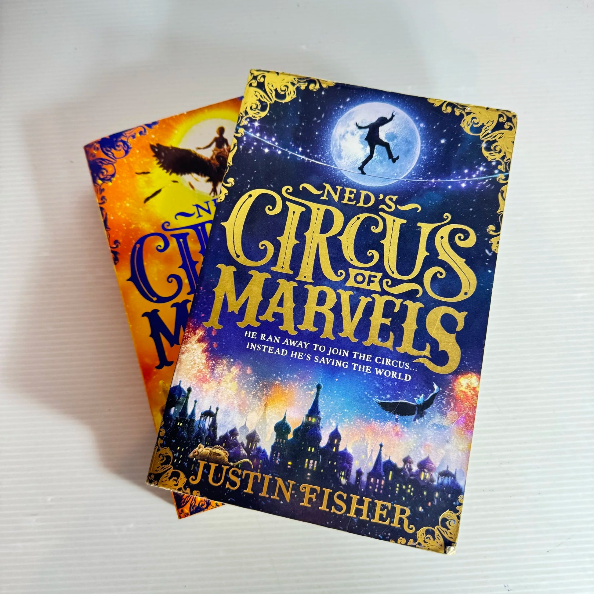 Justin Fisher Book Bundle x 2 - Ned's Circus of Marvels & Ned's Circus ...