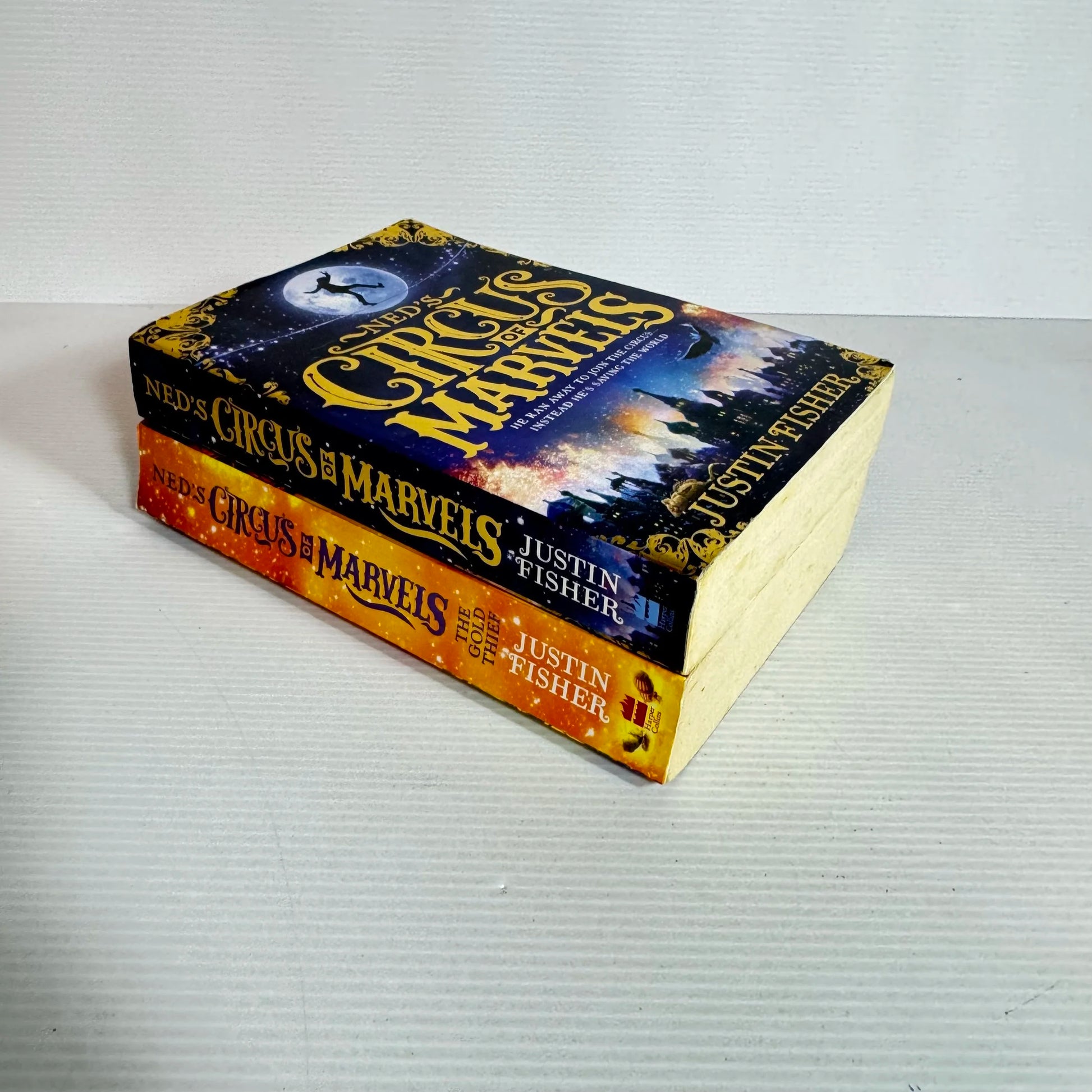 Justin Fisher Book Bundle x 2 - Ned's Circus of Marvels & Ned's Circus ...
